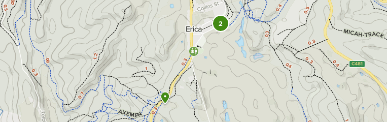 Best Forest Trails in Erica | AllTrails