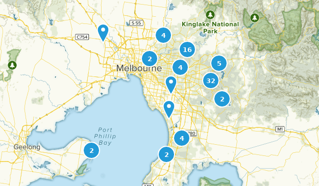 Best Forest Trails near Melbourne, Victoria Australia | AllTrails