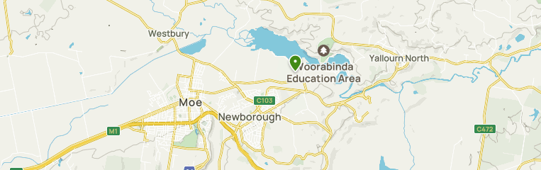 Best Forest Trails in Moe | AllTrails