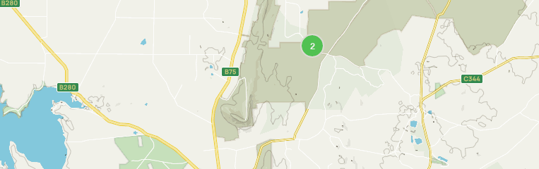 Best Forest Trails in Mount Camel | AllTrails