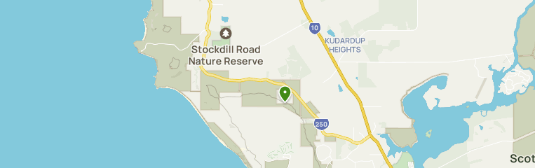 Best Forest Trails in Deepdene | AllTrails