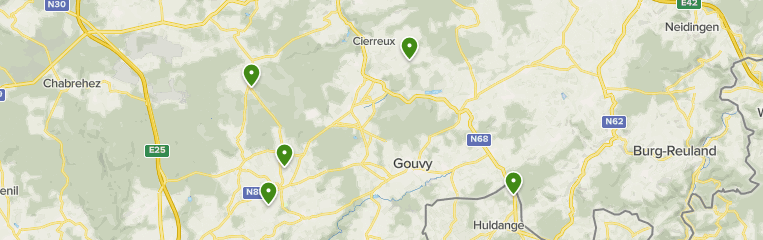 Best Forest Trails in Gouvy | AllTrails