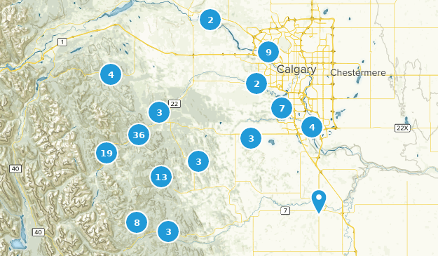 Best Forest Trails near Calgary, Alberta Canada | AllTrails