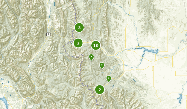 Best Forest Trails near Crowsnest Pass, Alberta Canada | AllTrails