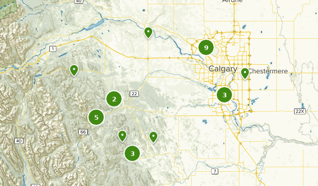 Best Dog Friendly Trails near Rocky View County, Alberta Canada | AllTrails