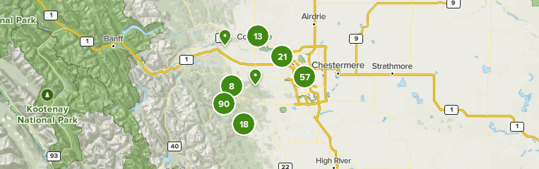 Best 10 Forest Trails in Rocky View County | AllTrails