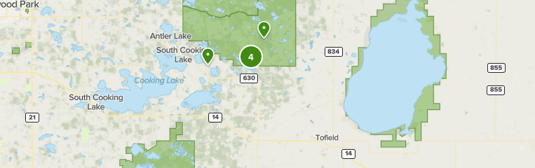 Best Forest Trails in Tofield | AllTrails