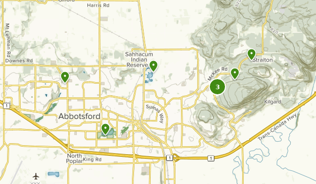 Best Bird Watching Trails near Abbotsford, British Columbia Canada ...