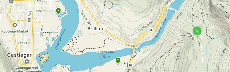 Best Dog Friendly Trails in Castlegar | AllTrails