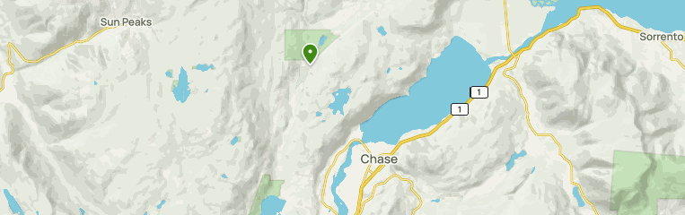 Best Forest Trails in Chase | AllTrails