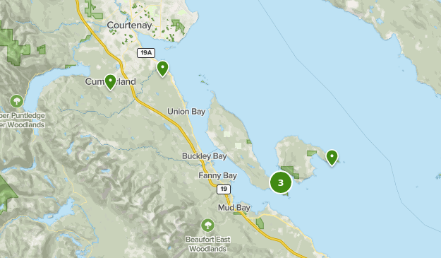 Best Bird Watching Trails near Comox Valley A, British Columbia Canada ...