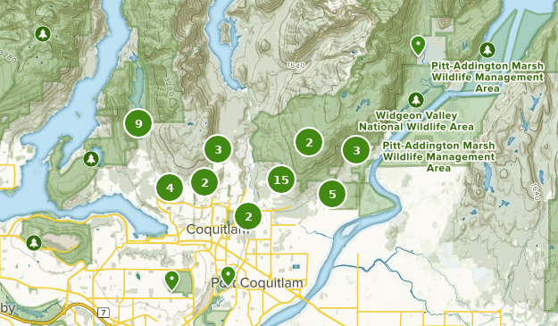 Best Forest Trails near Coquitlam, British Columbia Canada | AllTrails