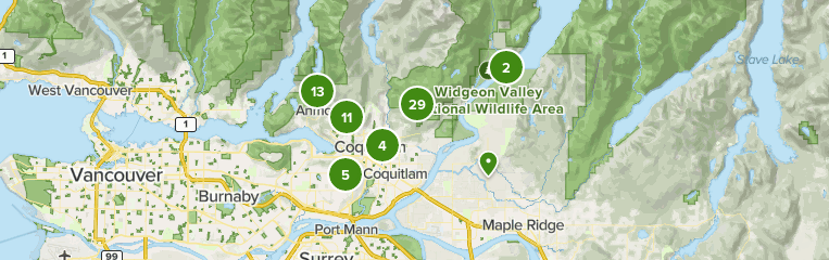 Best forest trails in Coquitlam, British Columbia | AllTrails