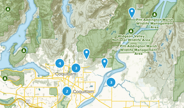 Best River Trails near Coquitlam, British Columbia Canada | AllTrails