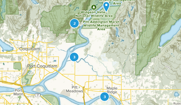 Best Walking Trails near Pitt Meadows, British Columbia Canada | AllTrails