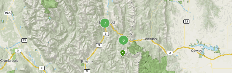 10 Best Forest Trails in Sparwood | AllTrails