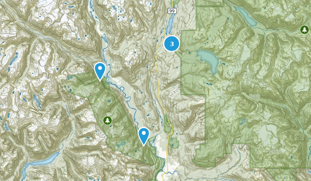 Best Bird Watching Trails near Squamish-Lillooet Regional, British ...