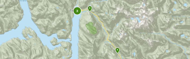 Best Forest Trails in Tahsis | AllTrails