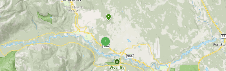 Best Forest Trails in Wycliffe | AllTrails