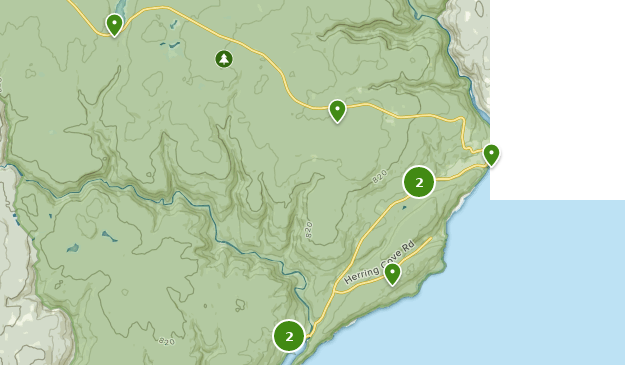 Best Wild Flowers Trails near Alma, New Brunswick Canada | AllTrails