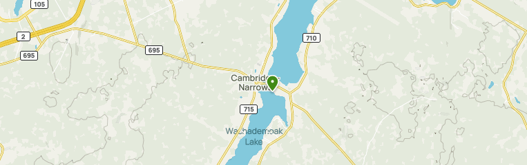 Best Forest Trails in Cambridge-Narrows | AllTrails