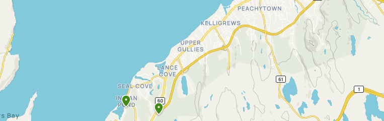 Best City Walk Trails in Conception Bay South | AllTrails
