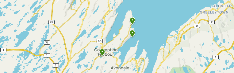 Best Forest Trails in Conception Harbour | AllTrails