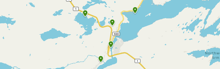 Best Beach Trails in Gambo | AllTrails
