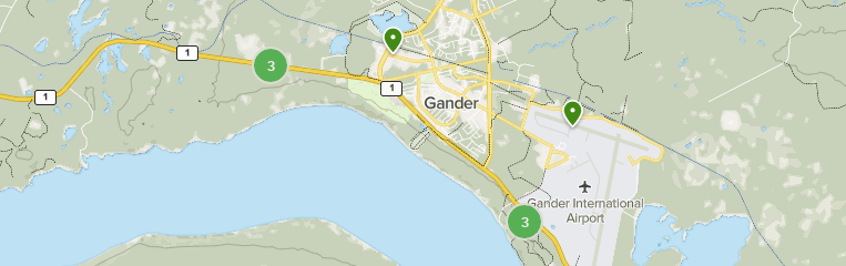 2023 Best Kid Friendly Trails in Gander | AllTrails
