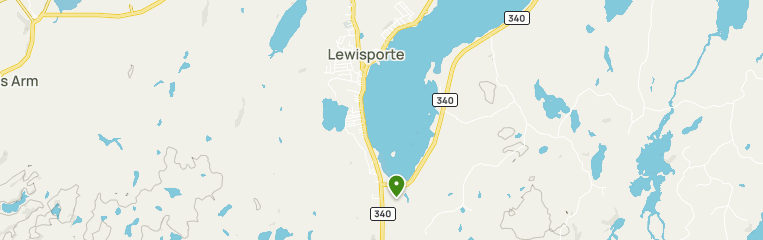 Best Forest Trails in Lewisporte | AllTrails