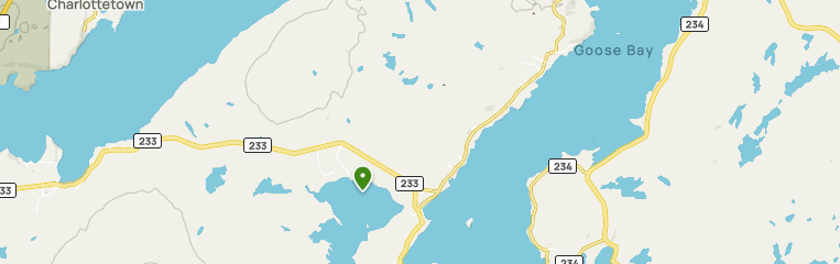 Best Views Trails in Musgravetown | AllTrails