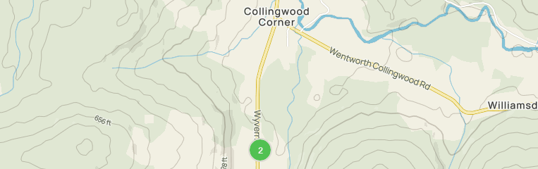 Best Forest Trails in Collingwood Corner | AllTrails