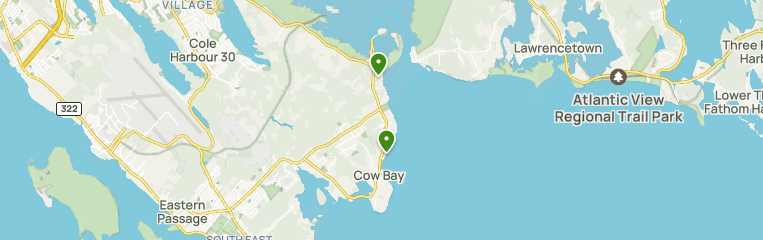 2023 Best Forest Trails in Cow Bay | AllTrails