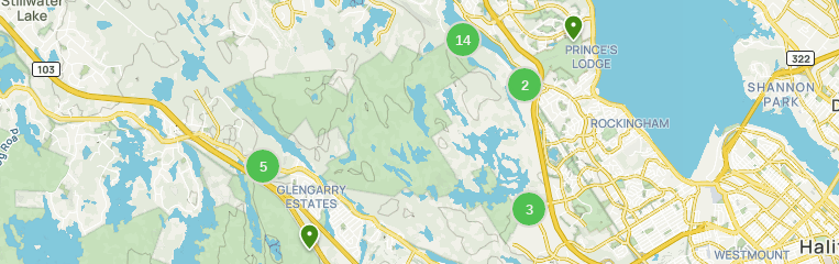 10 Best Forest Trails in Timberlea | AllTrails