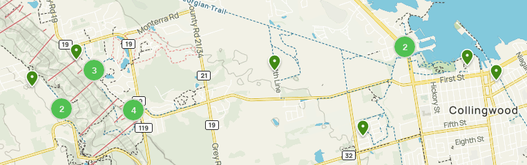 Best Forest Trails in Collingwood | AllTrails