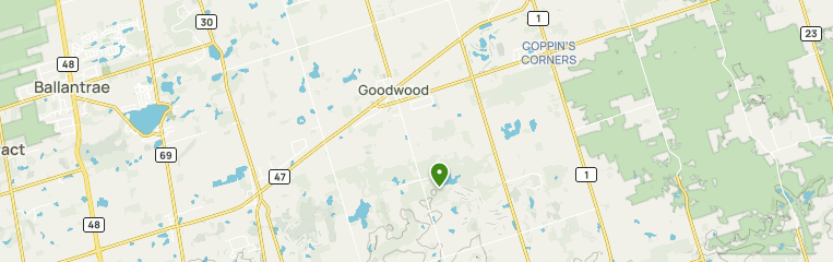 Best Historic Site Trails in Goodwood | AllTrails
