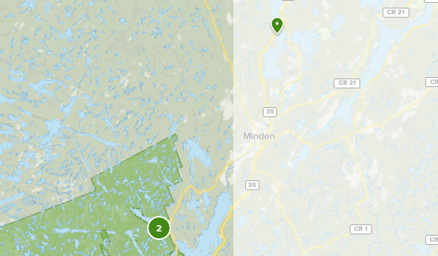 Best Forest Trails near Minden Hills, Ontario Canada | AllTrails