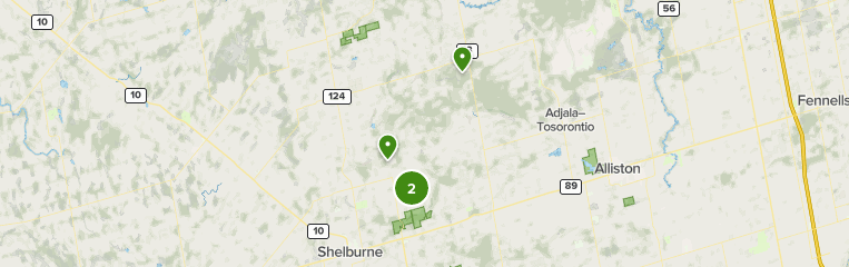 Best Easy Trails in Mulmur | AllTrails