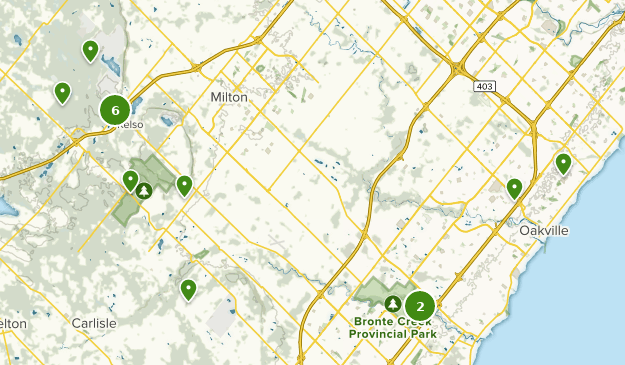 Best Bird Watching Trails near Oakville, Ontario Canada | AllTrails