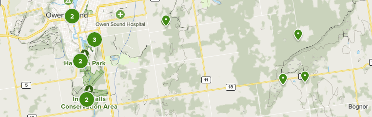 10 Best Wild Flowers Trails in Owen Sound | AllTrails