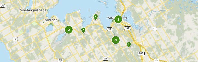 Best Forest Trails in Tay | AllTrails