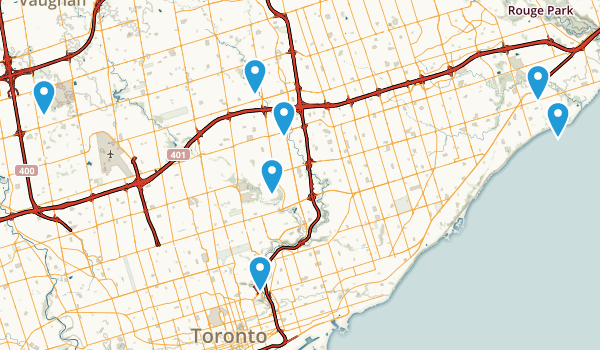 Best Forest Trails near Toronto, Ontario, Canada | AllTrails