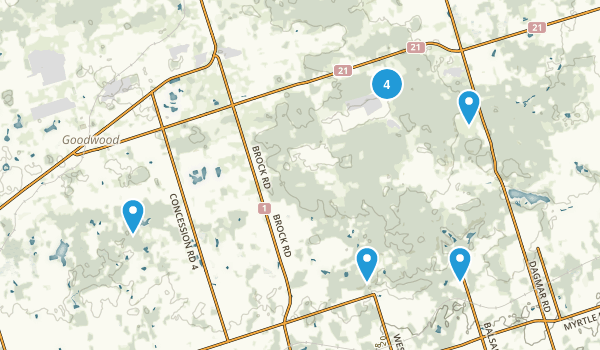 Best Walking Trails near Uxbridge, Ontario, Canada | AllTrails