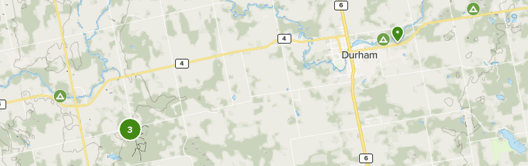 Best Forest Trails in West Grey | AllTrails