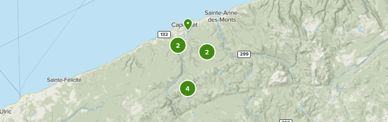 Best Forest Trails in Cap-Chat | AllTrails