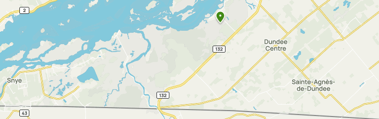 Best Dog Friendly Trails in Dundee | AllTrails