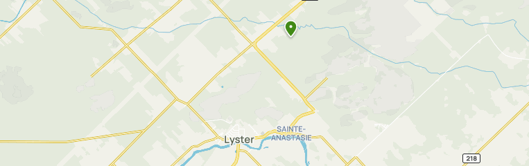 2023 Best Forest Trails in Lyster | AllTrails