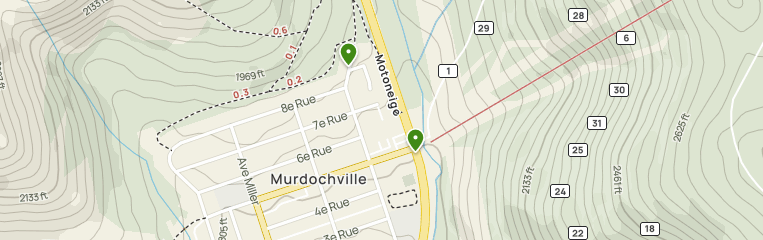 Best Forest Trails in Murdochville | AllTrails
