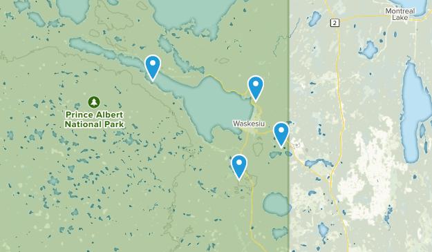 Best Walking Trails near Prince Albert National Park, Saskatchewan ...