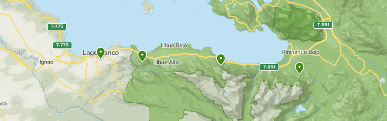 Best Forest Trails in Lago Ranco | AllTrails